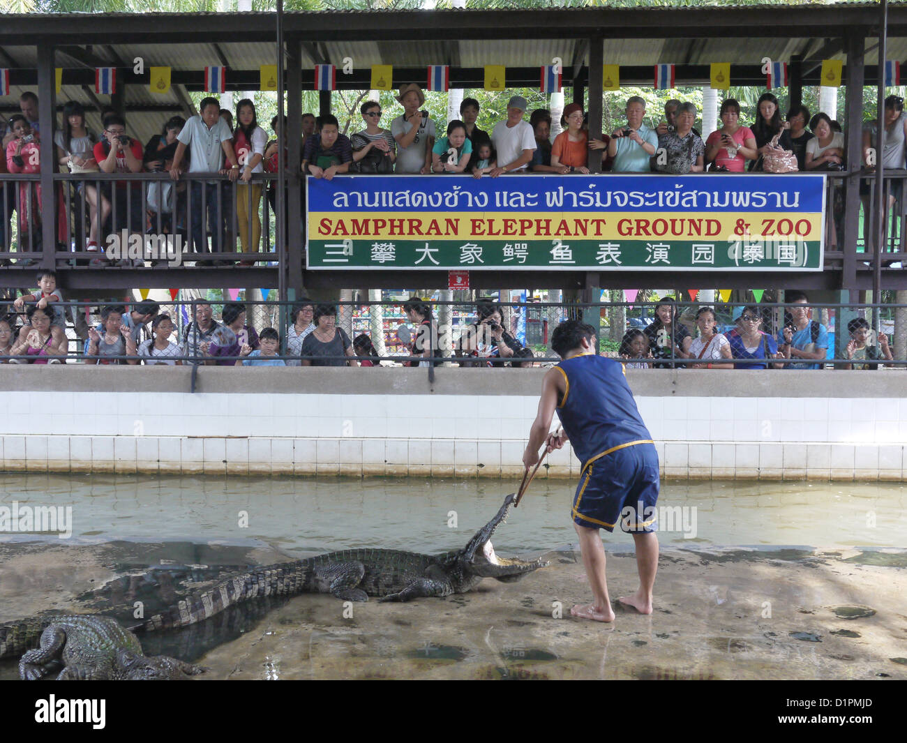 Samphran elephant ground zoo Stock Photo - Alamy