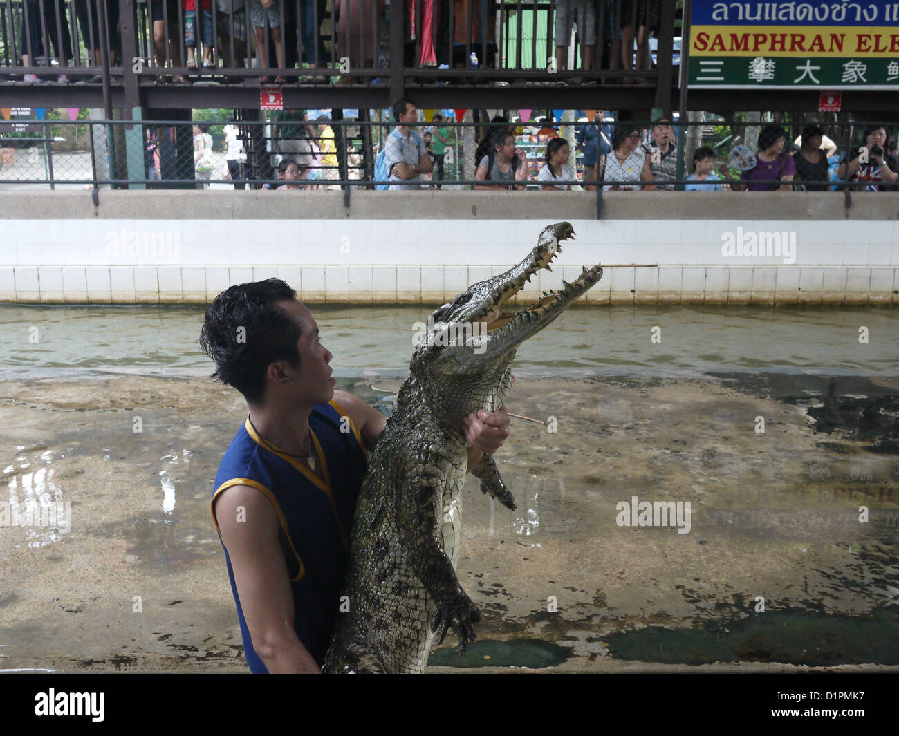 male trainer carrying crocodile Stock Photo - Alamy