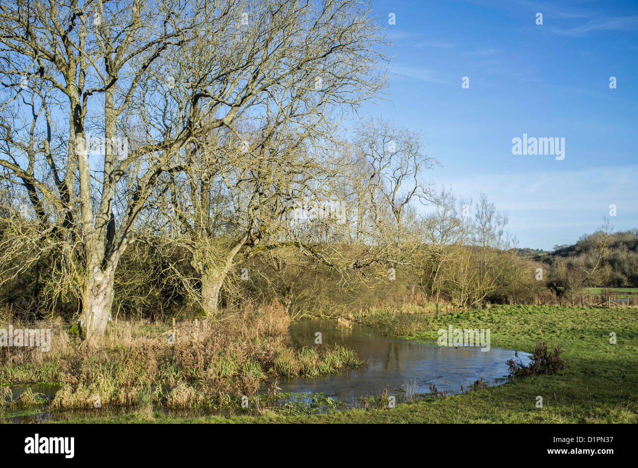 The River Windrush on the Windrush Way in winter near Nounton, The ...