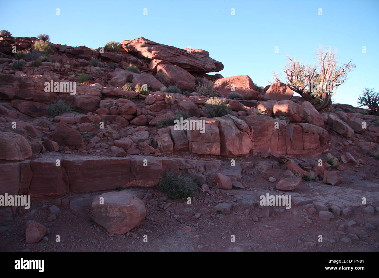 fisheye,desert,landscape, rocks,nevada,red,canyon,valley of fire ...