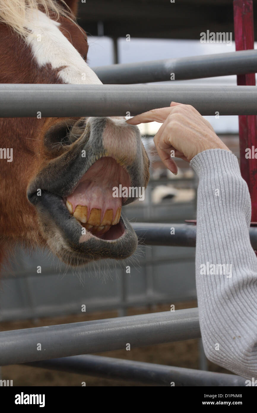 Tickle laugh hi-res stock photography and images - Alamy