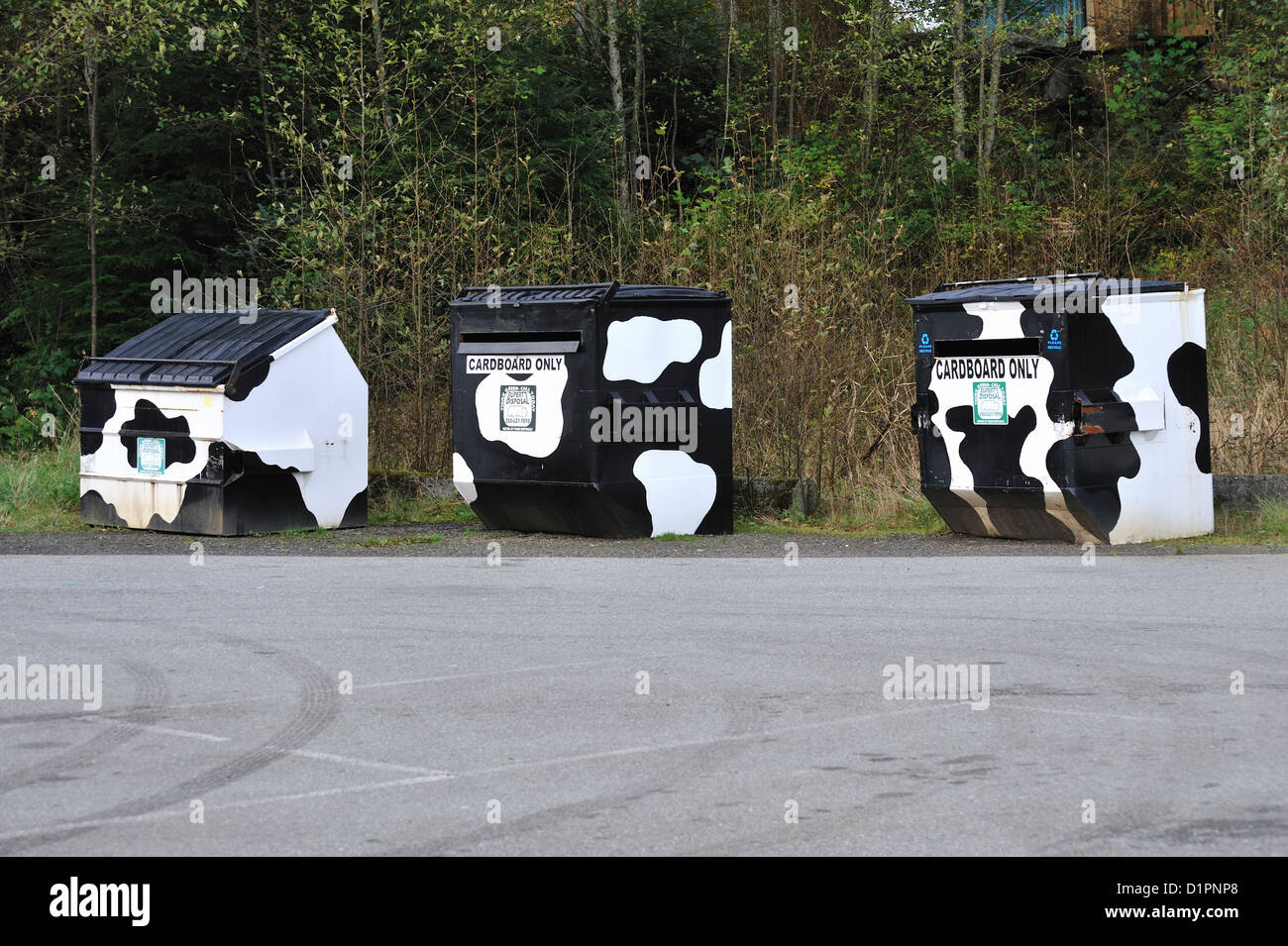 Cow bay hi-res stock photography and images - Alamy