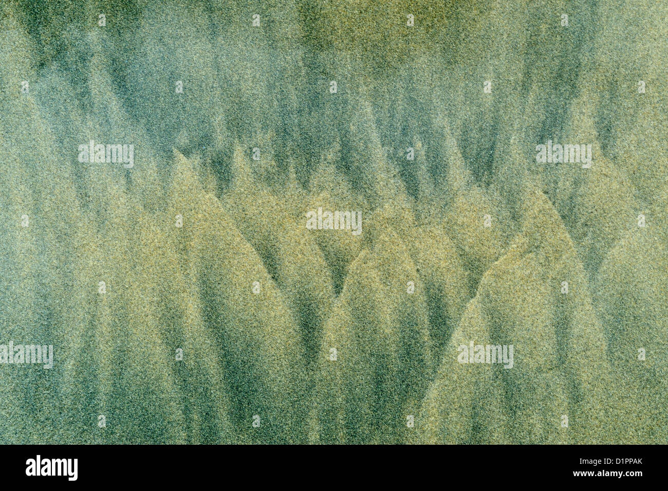 San patterns, Long Beach, Pacific Rim National Park, Vancouver Island ...