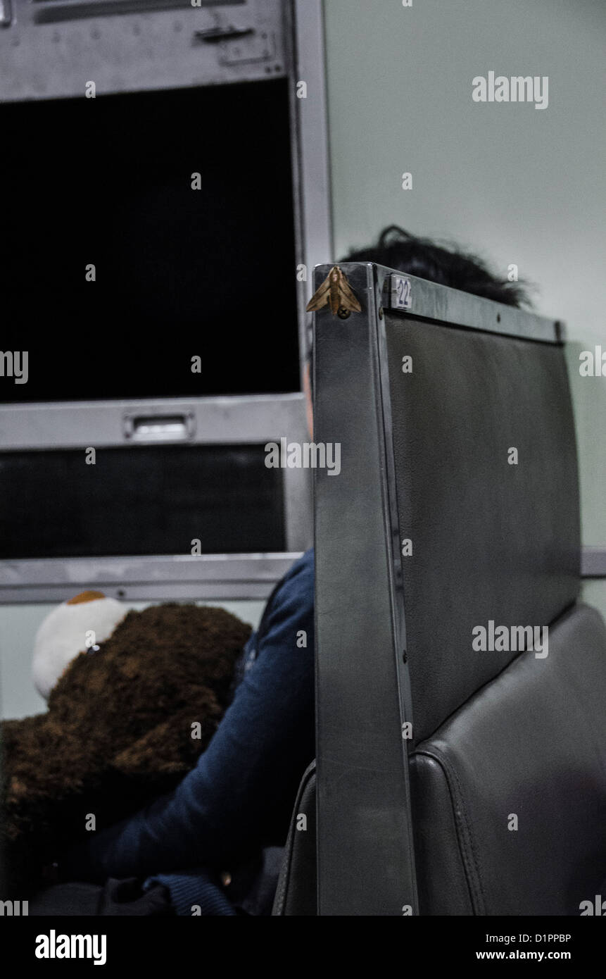 Moth in a train Stock Photo - Alamy