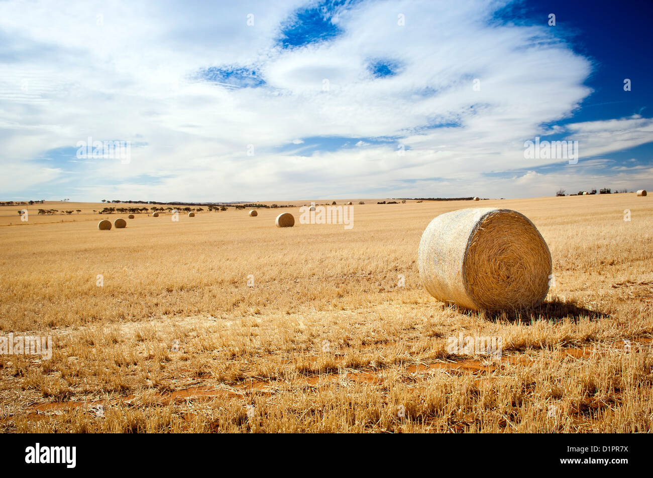 Harvesting Hay Australia High Resolution Stock Photography and Images ...