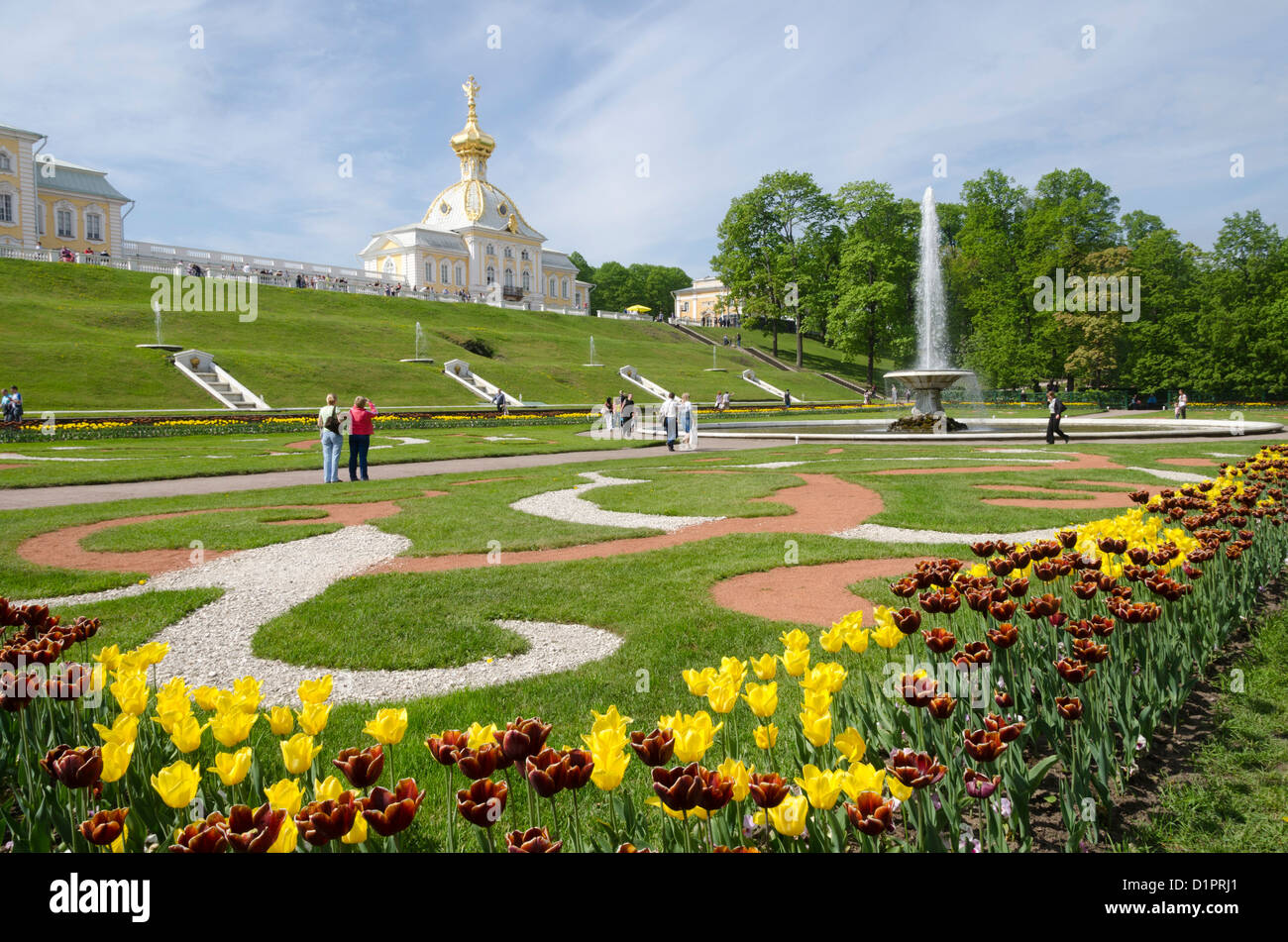 Gardens at Peterhof Palace, St Petersburg, Russia, Europe Stock Photo ...