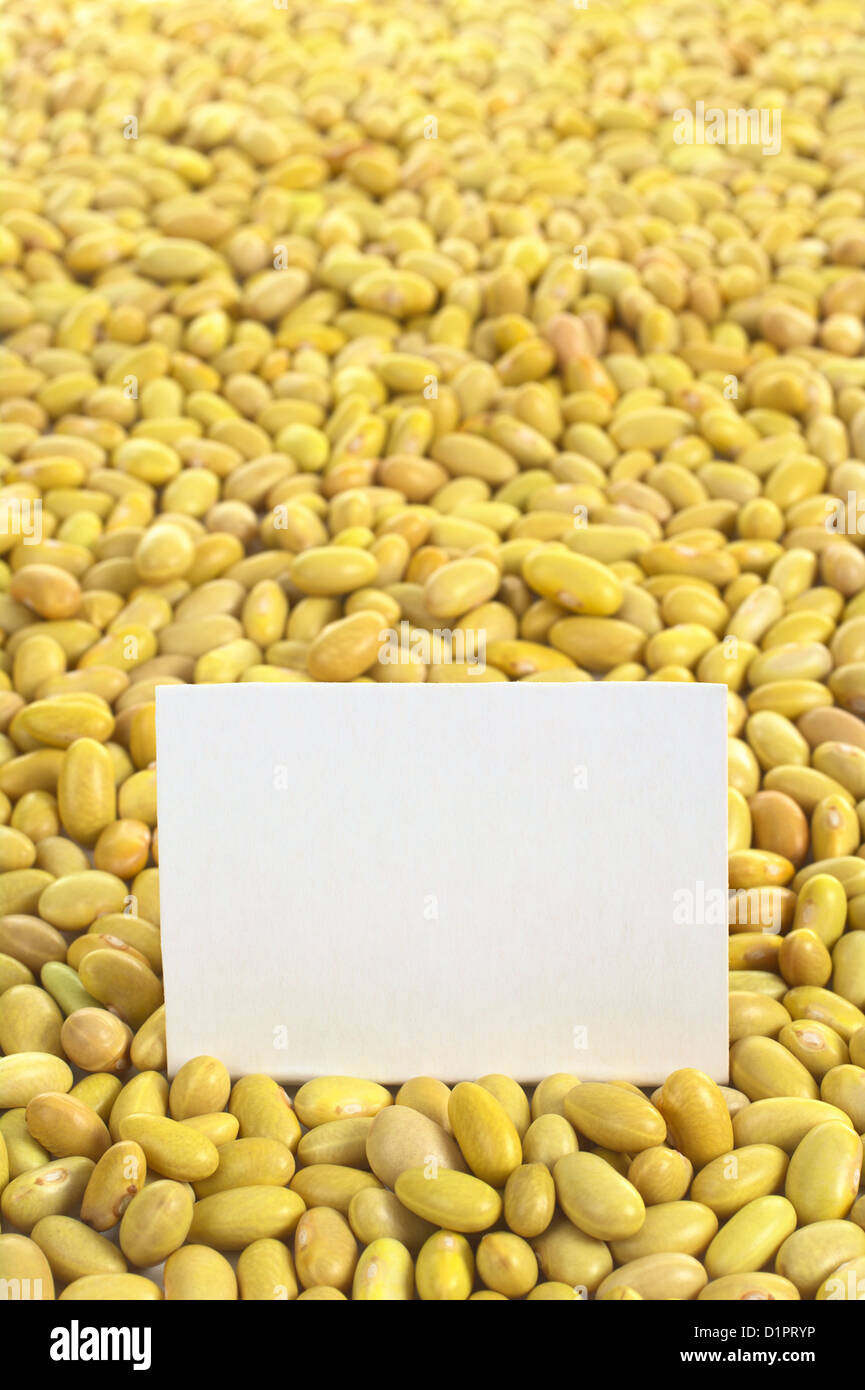 Raw canary beans (peruano beans, yellow beans) with blank card ...