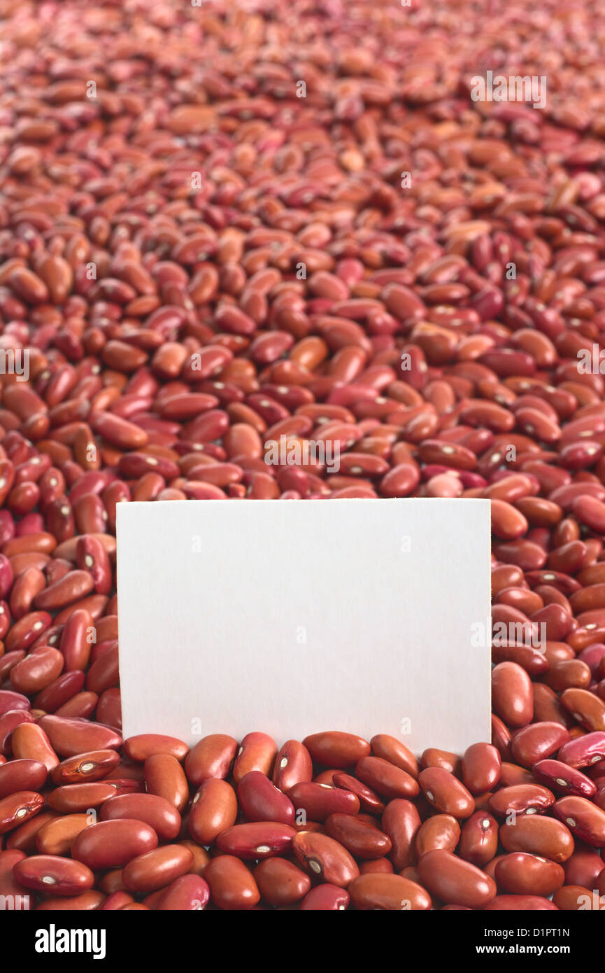 Raw red kidney beans with blank card (Selective Focus, Focus on the ...
