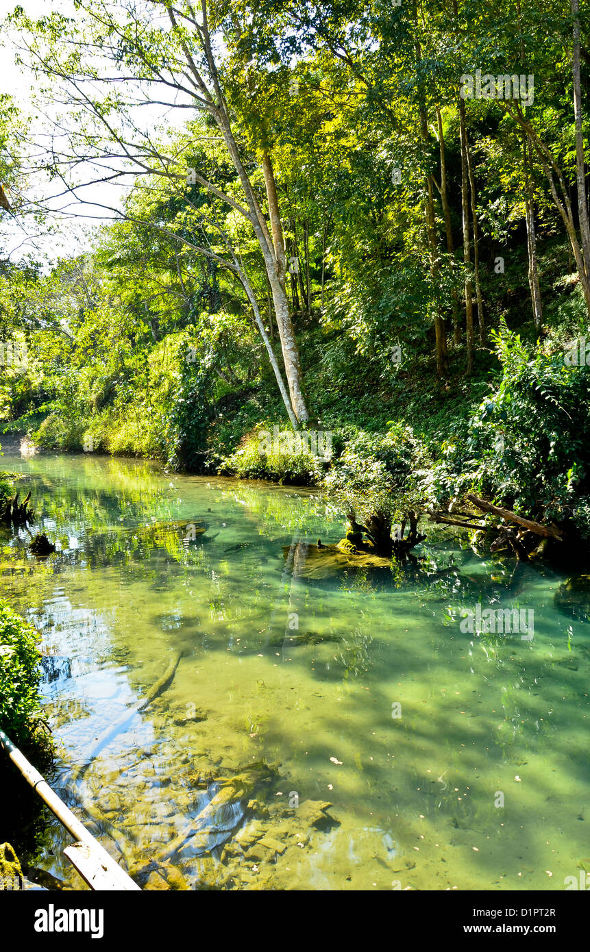 Pond pine tree hi-res stock photography and images - Alamy