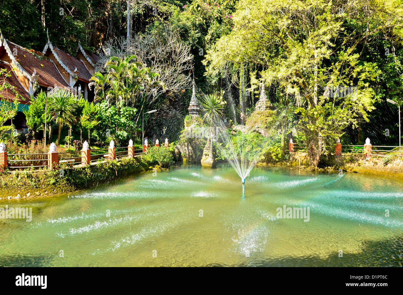 Pond pine tree hi-res stock photography and images - Alamy