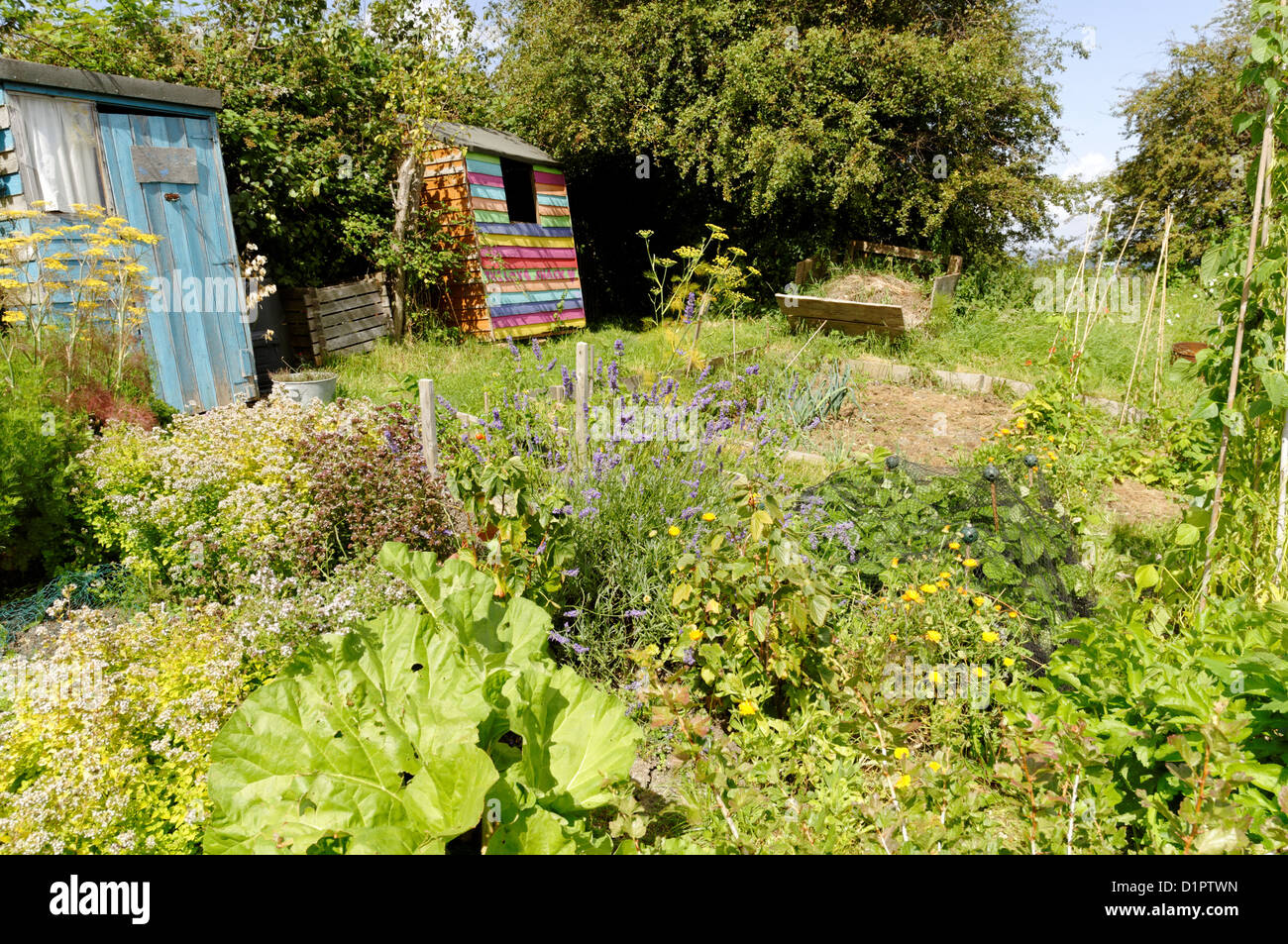 Allotments uk hi-res stock photography and images - Alamy