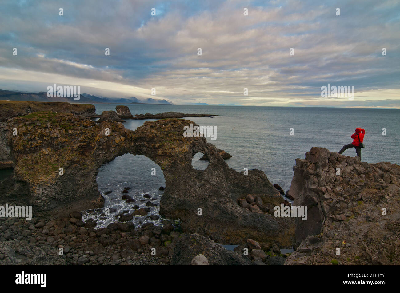 the cliffs between Arnarstapi and Hellnar in Snaefellsnes, west Iceland ...