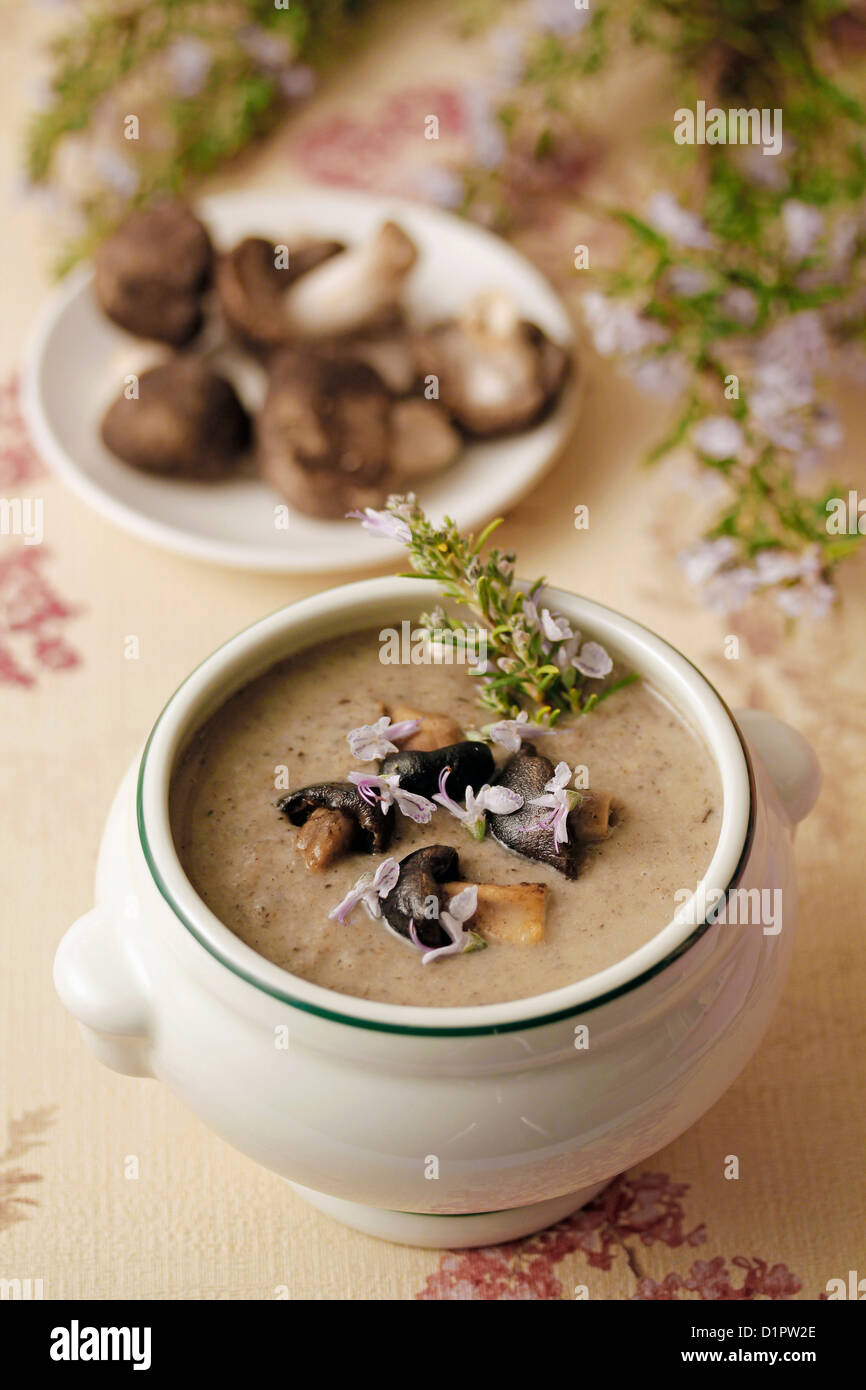 Gray agaric soup (Mushrooms soup Stock Photo - Alamy