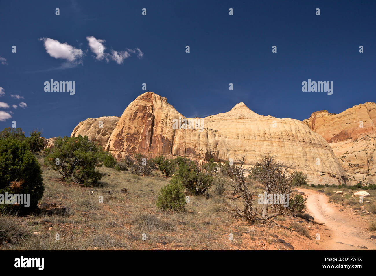 Hickman Bridge Trail, Navajo Dome, Capitol Reef National Park, Utah ...