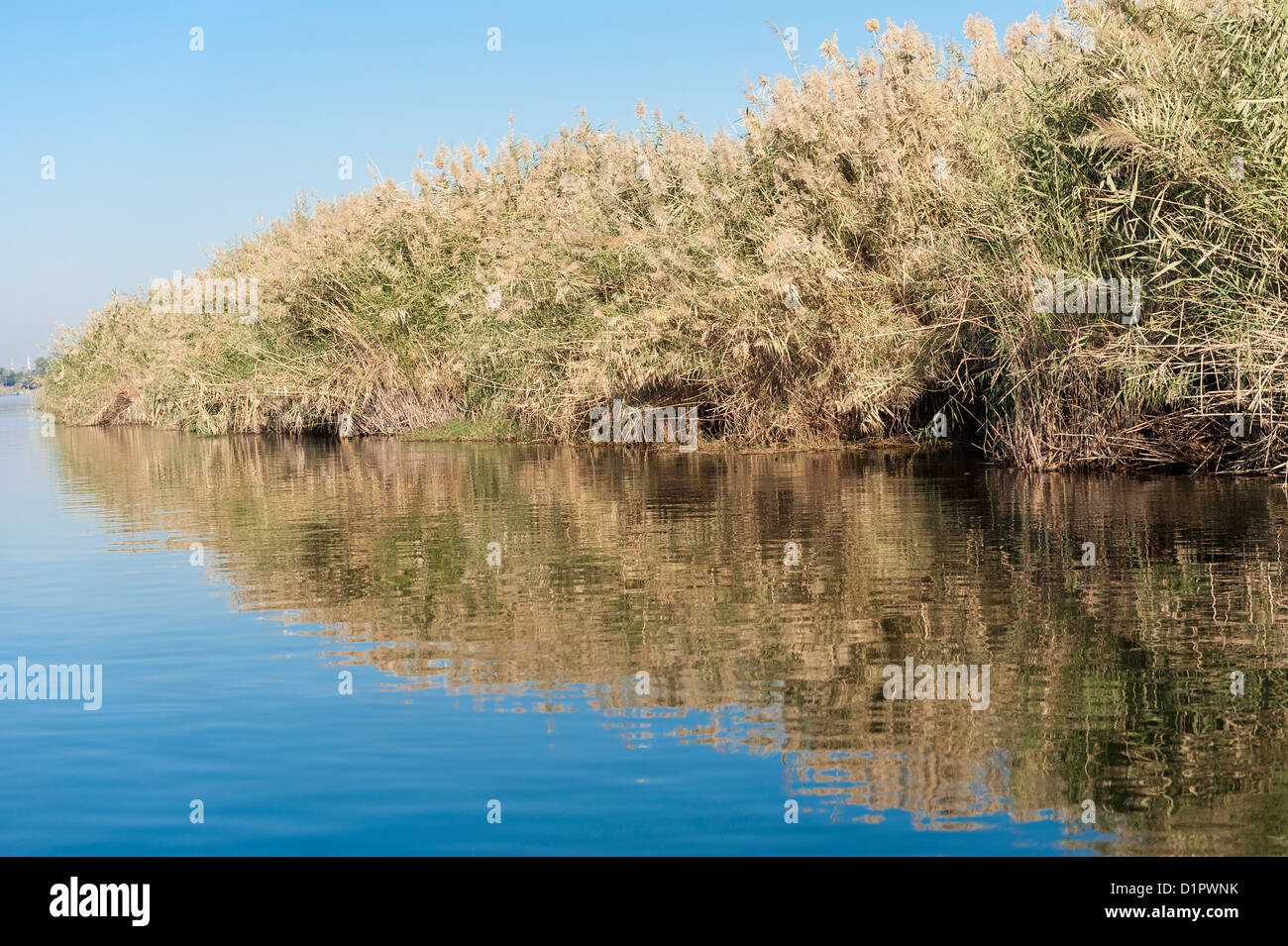 Nile nature hi-res stock photography and images - Alamy
