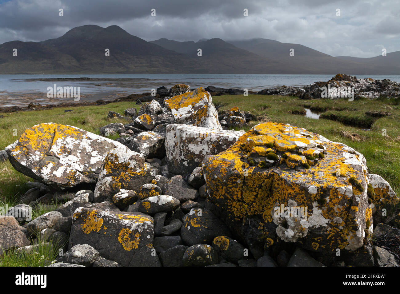Lichen covered rocks at Loch Na Keal on the Isle of Mull in the Inner ...