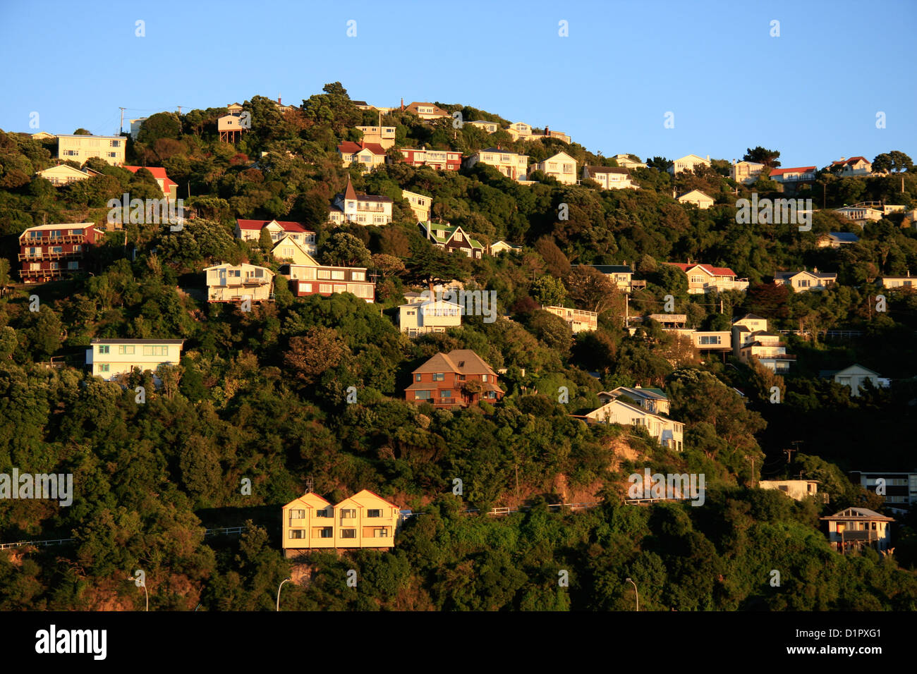 Wellington suburbs in early sun light viewed from the Interislander ...
