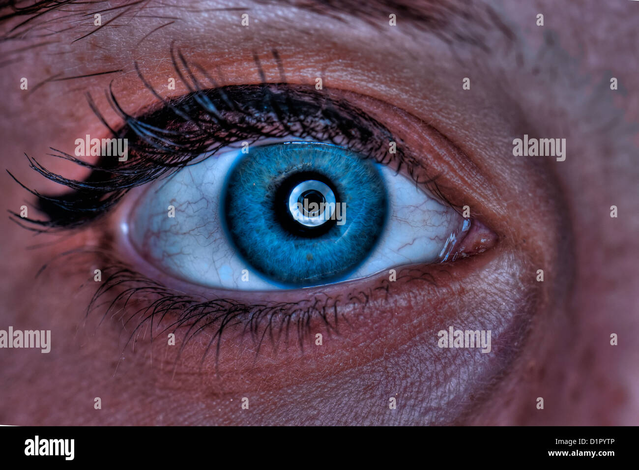 Extreme closeup of a human eye - blue Stock Photo - Alamy