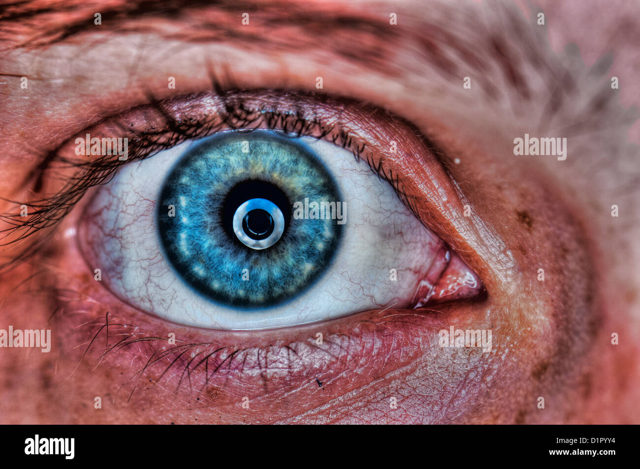 Extreme closeup of a human eye - blue Stock Photo - Alamy