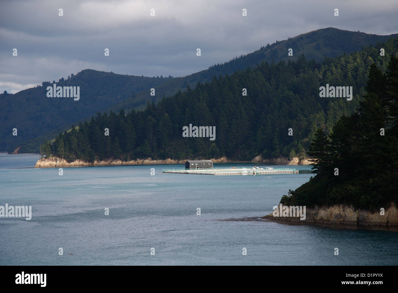 Marlborough Sounds at the southern end of the Cook Strait Stock Photo ...