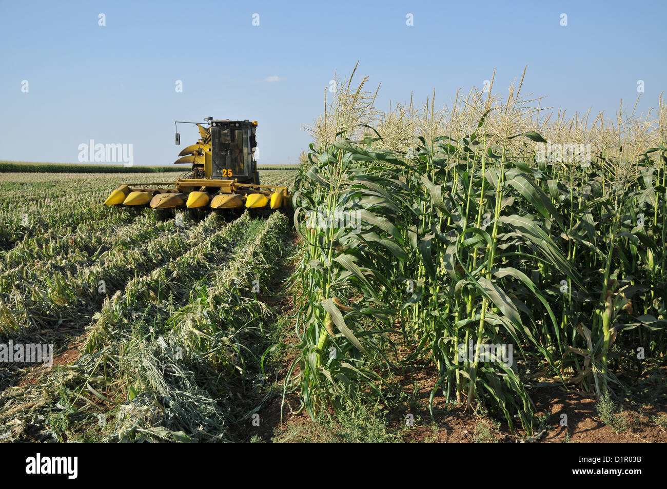 Corn picker hi-res stock photography and images - Alamy