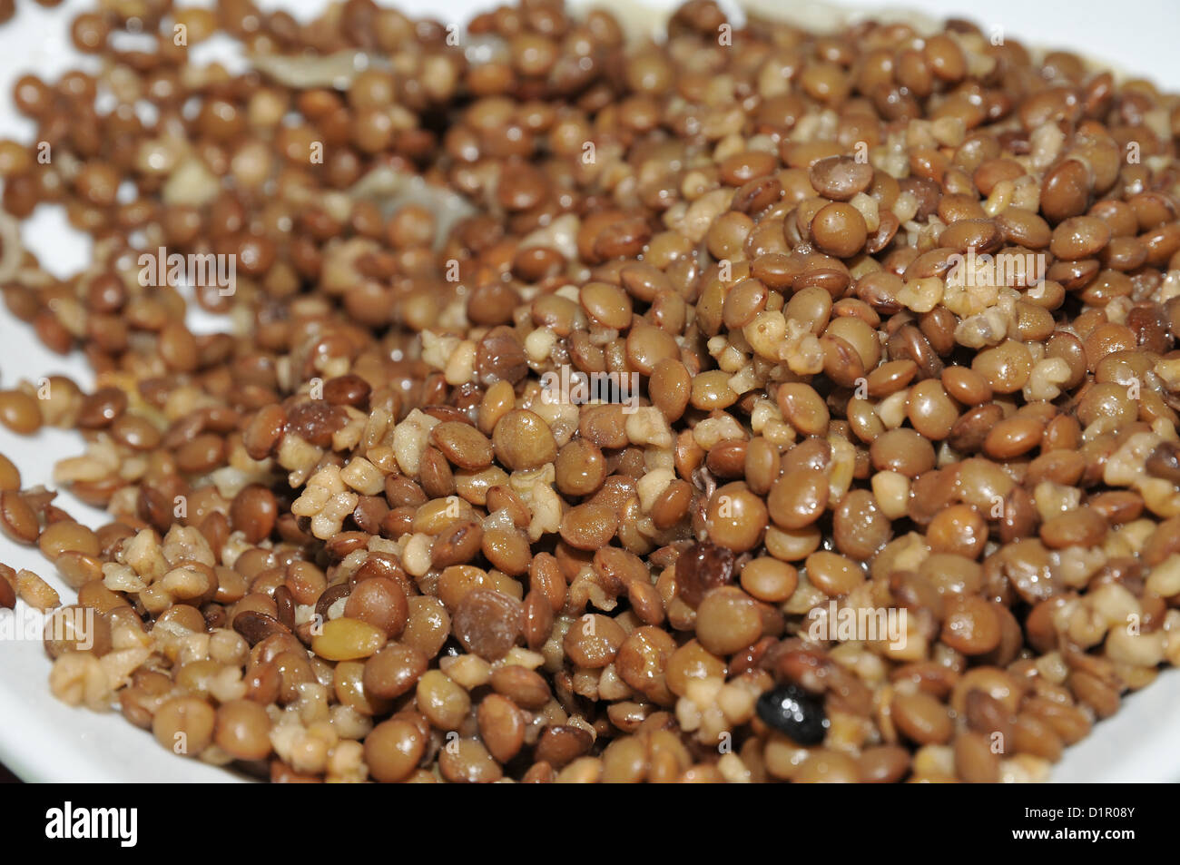 A plate of Mujaddara (also moujadara) - lentils with rice Stock Photo ...
