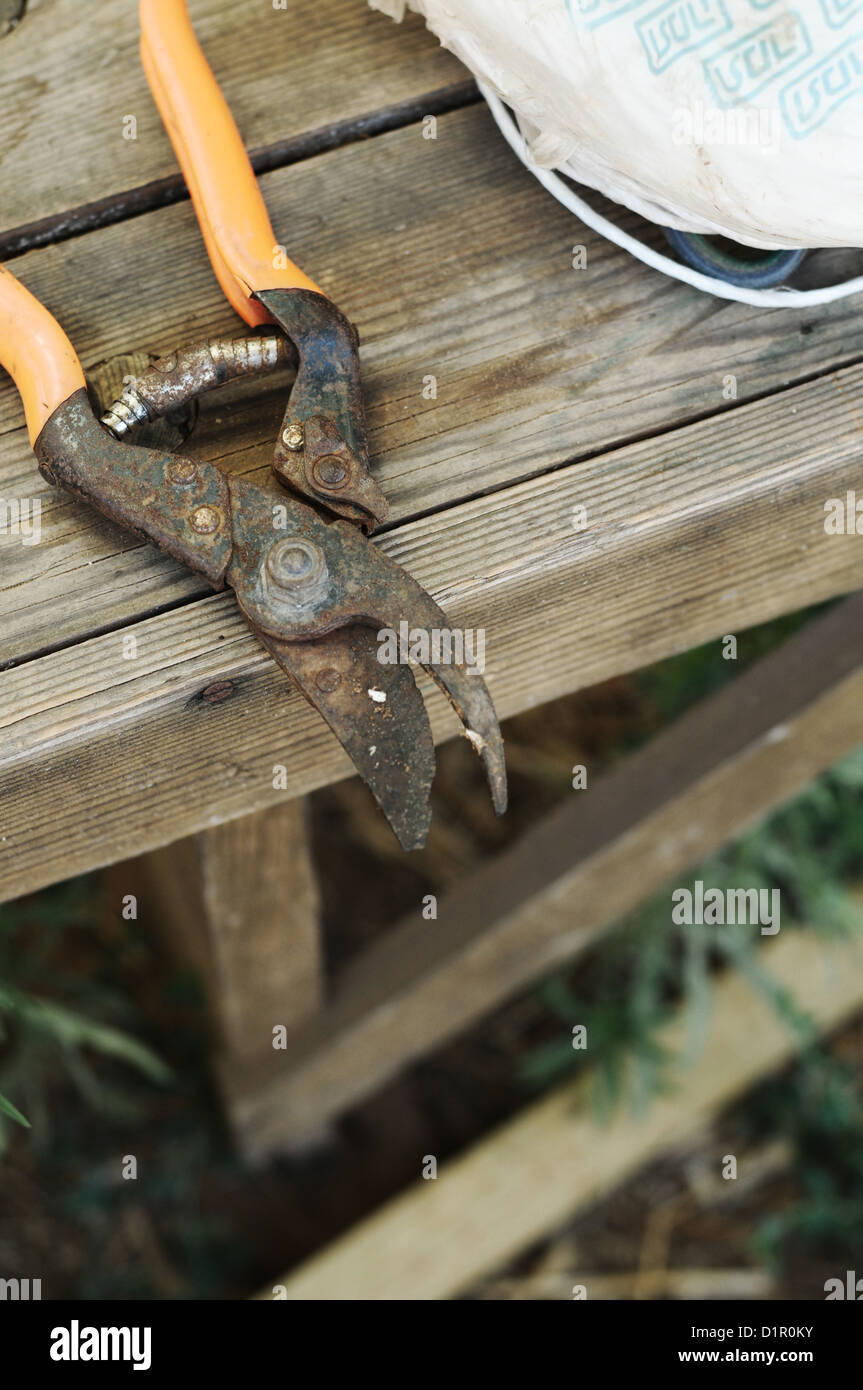 Organic farming and gardening concept pruning shears Stock Photo - Alamy