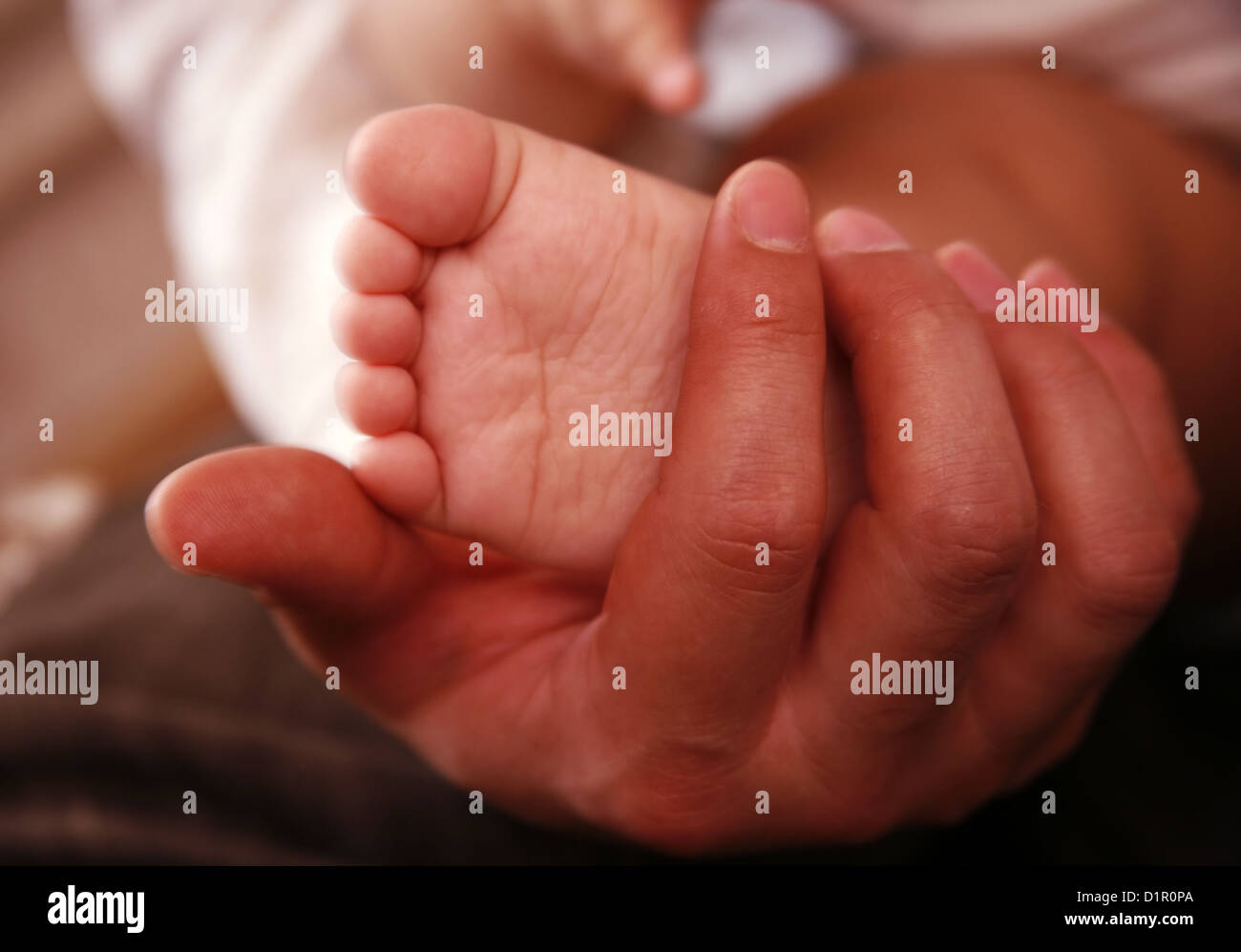 Parents hands hold baby boy legs Stock Photo - Alamy