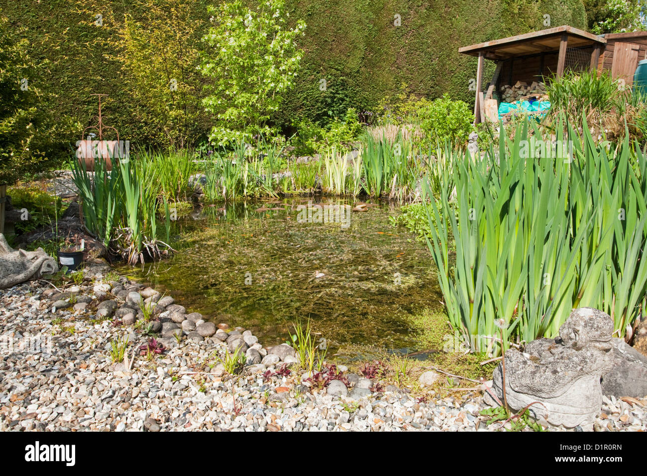 Garden ponds uk hi-res stock photography and images - Alamy
