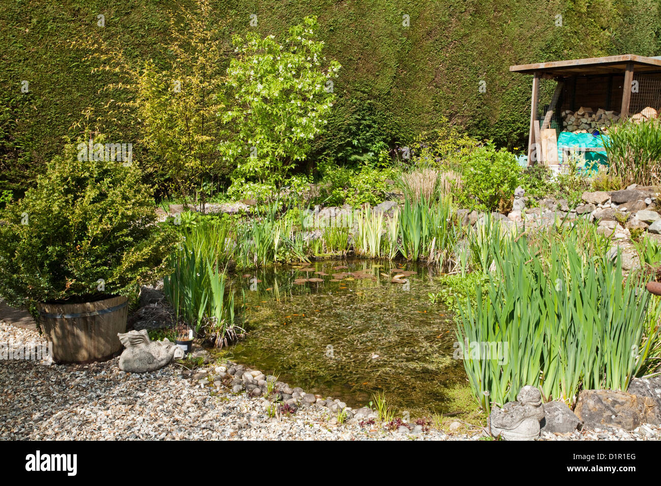 Uk sunny sunshine uk gardening hi-res stock photography and images - Alamy