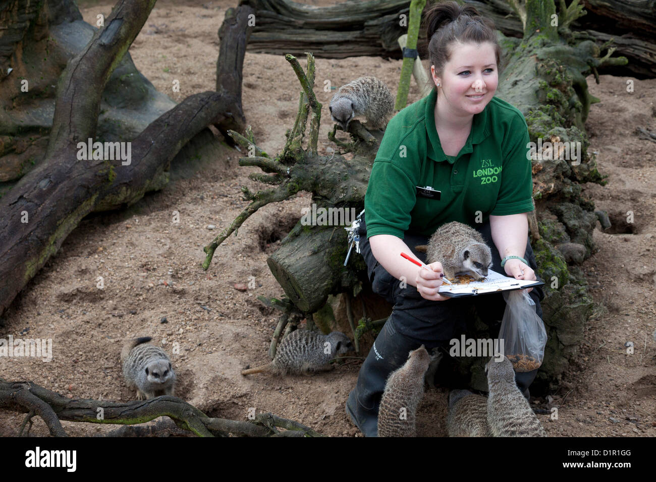 London zoo animals hi-res stock photography and images - Alamy