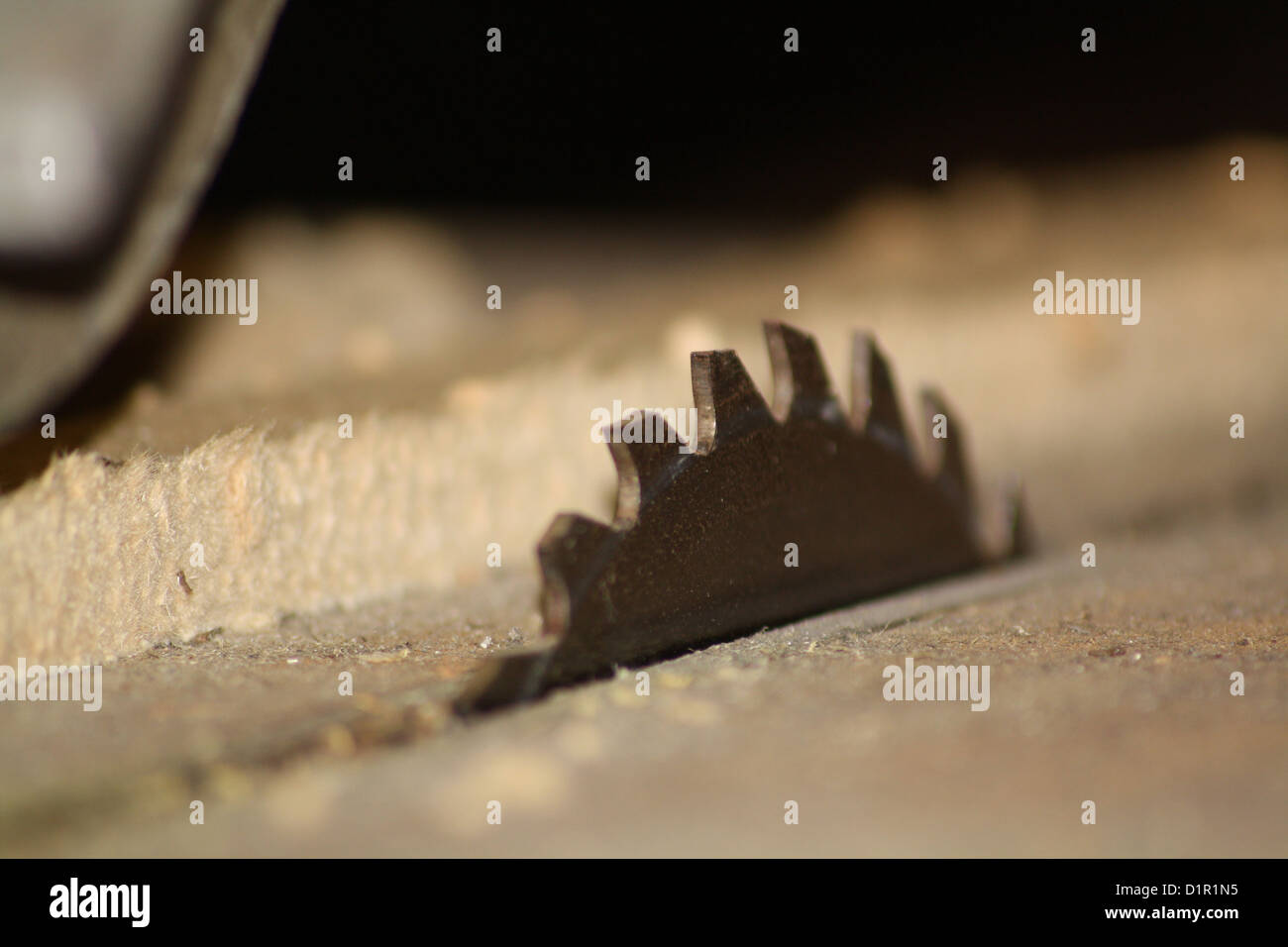 A close-up of a circular table saw blade. Shallow depth of field picks ...