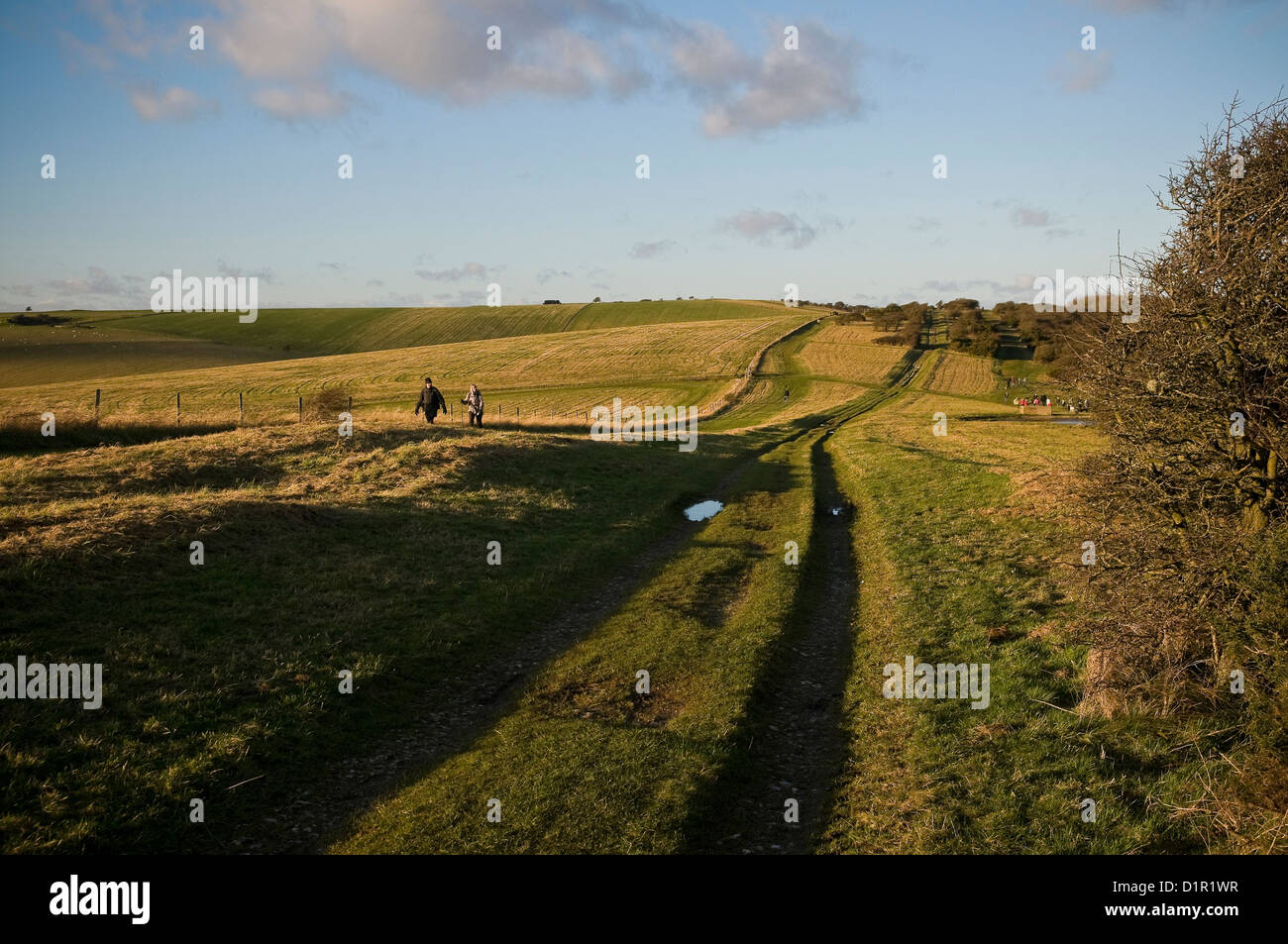 Chalk or limestone hills hi-res stock photography and images - Alamy