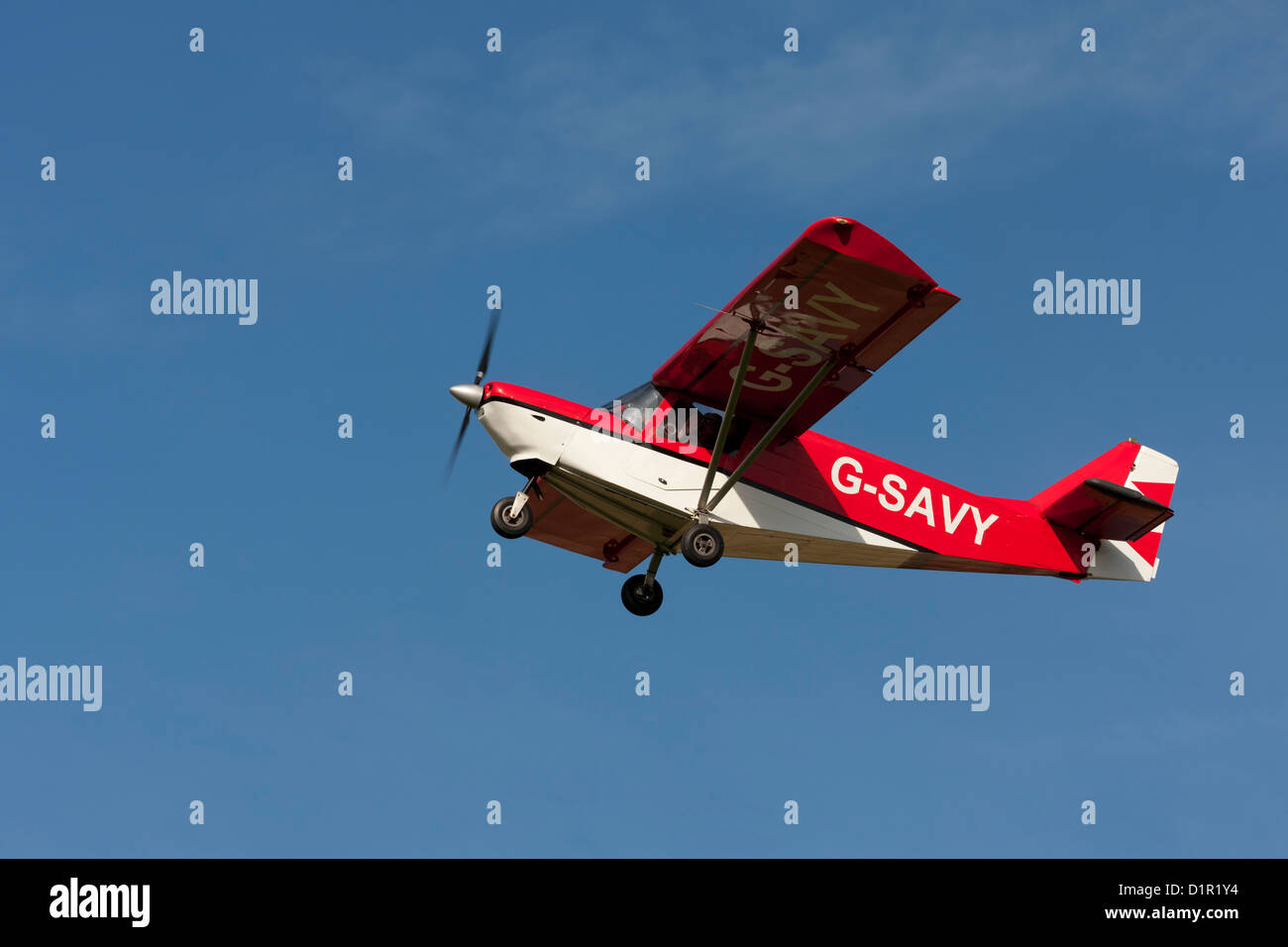 Savannah g hi-res stock photography and images - Alamy