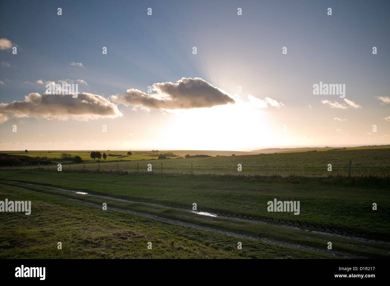 South downs national park hi-res stock photography and images - Alamy