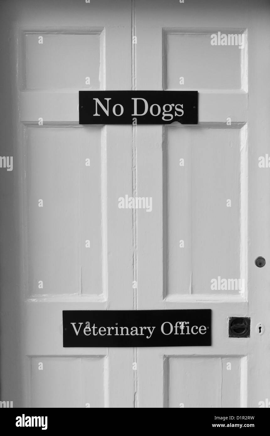 Vet's office hi-res stock photography and images - Alamy