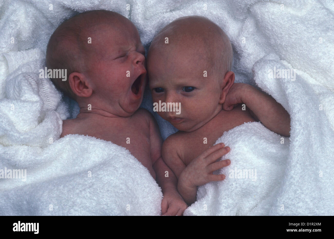 Non identical twins hi-res stock photography and images - Alamy