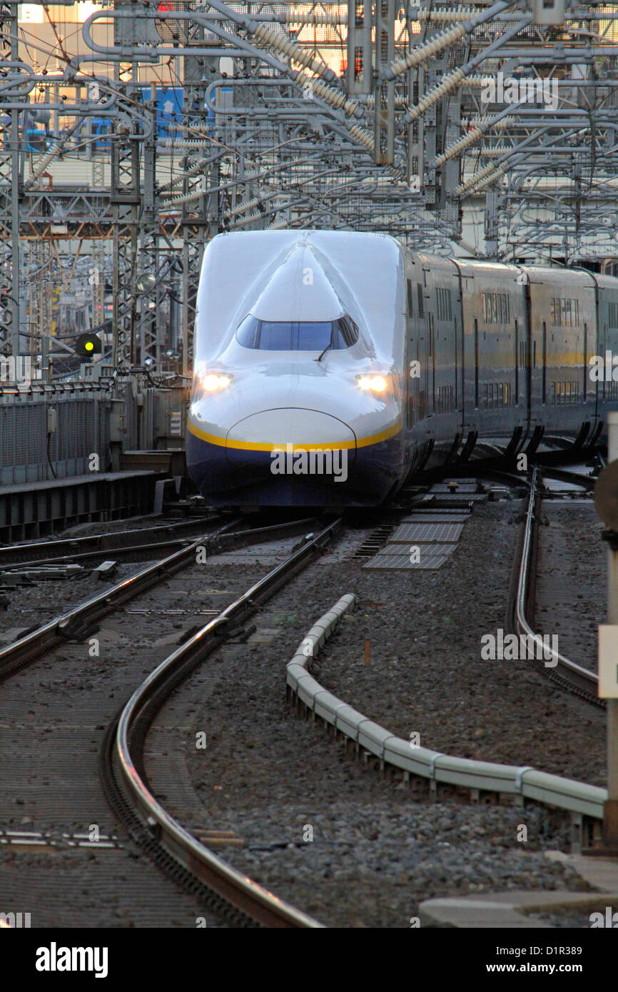 The Joetsu Shinkansen E4 series coming in to Tokyo Station Japan Stock ...