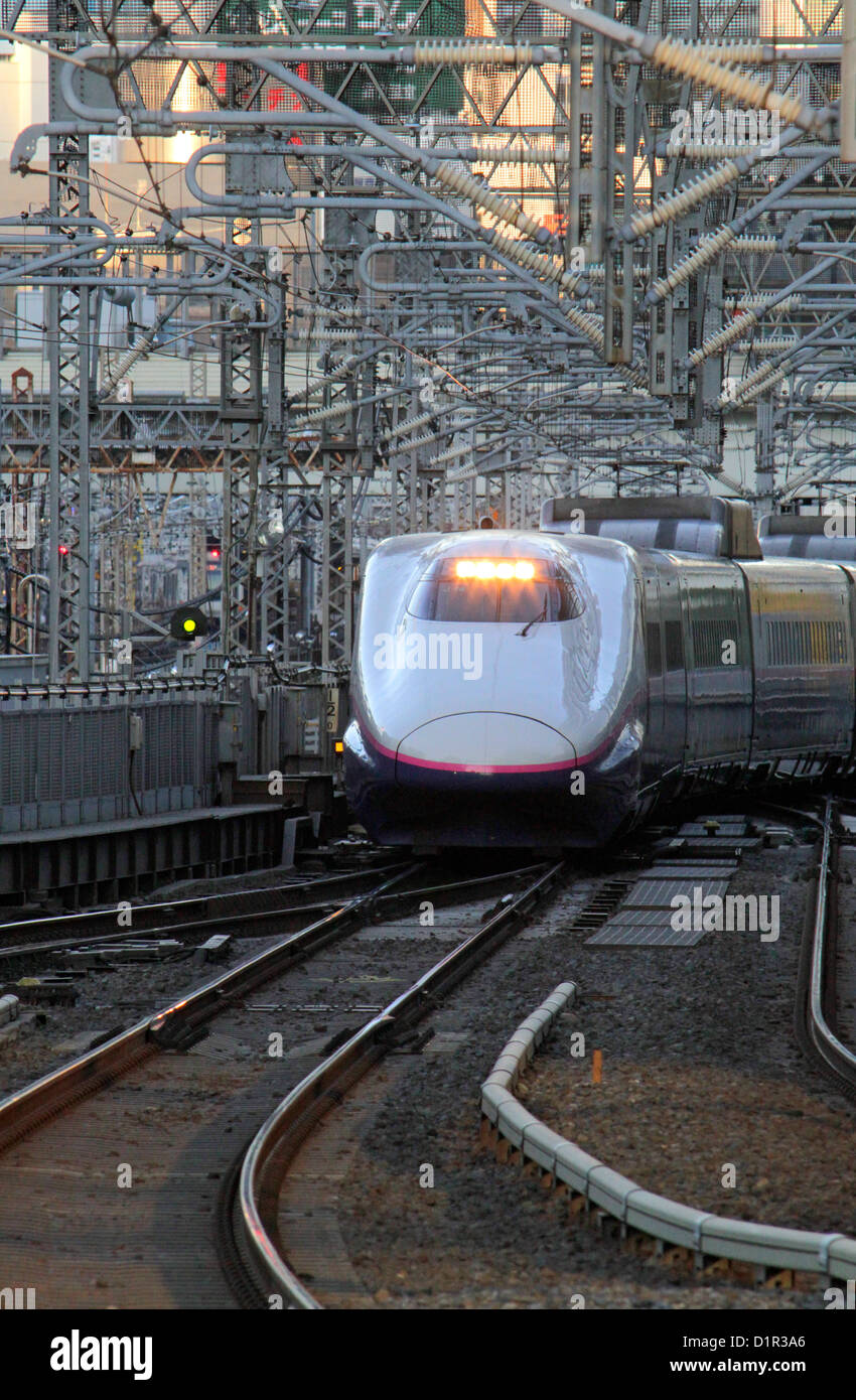 The Tohoku Shinkansen E2 series high-speed rail line arrives at Tokyo ...