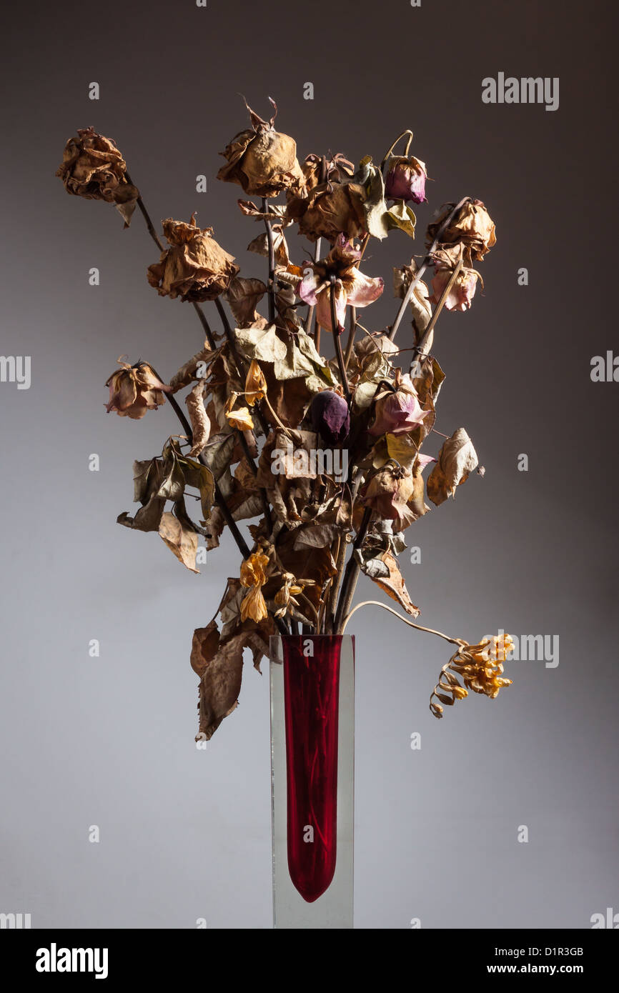 Dead flowers vase hi-res stock photography and images - Alamy