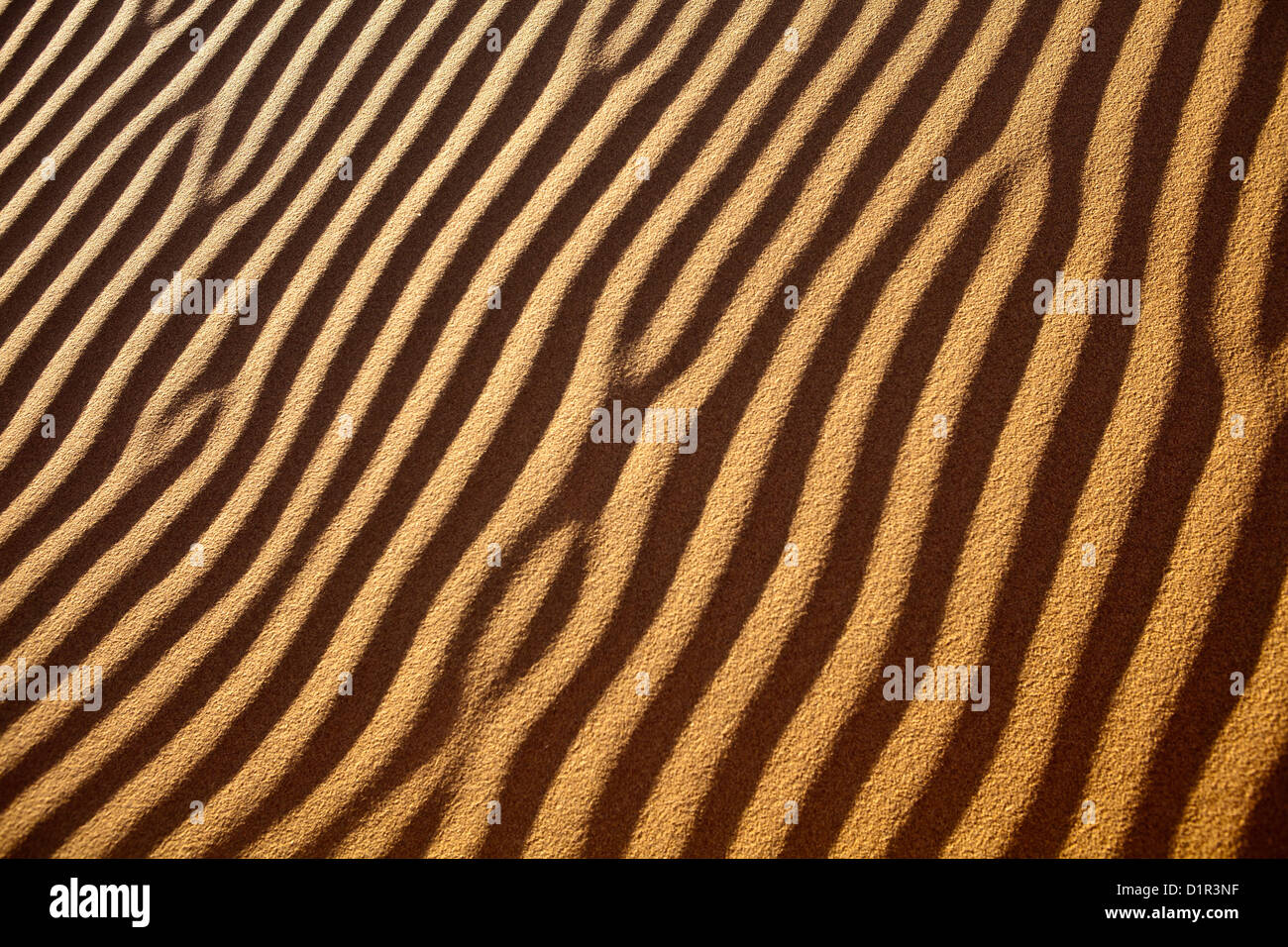 Morocco, M'Hamid, Erg Chigaga sand dunes. Sahara desert. Detail ripple ...