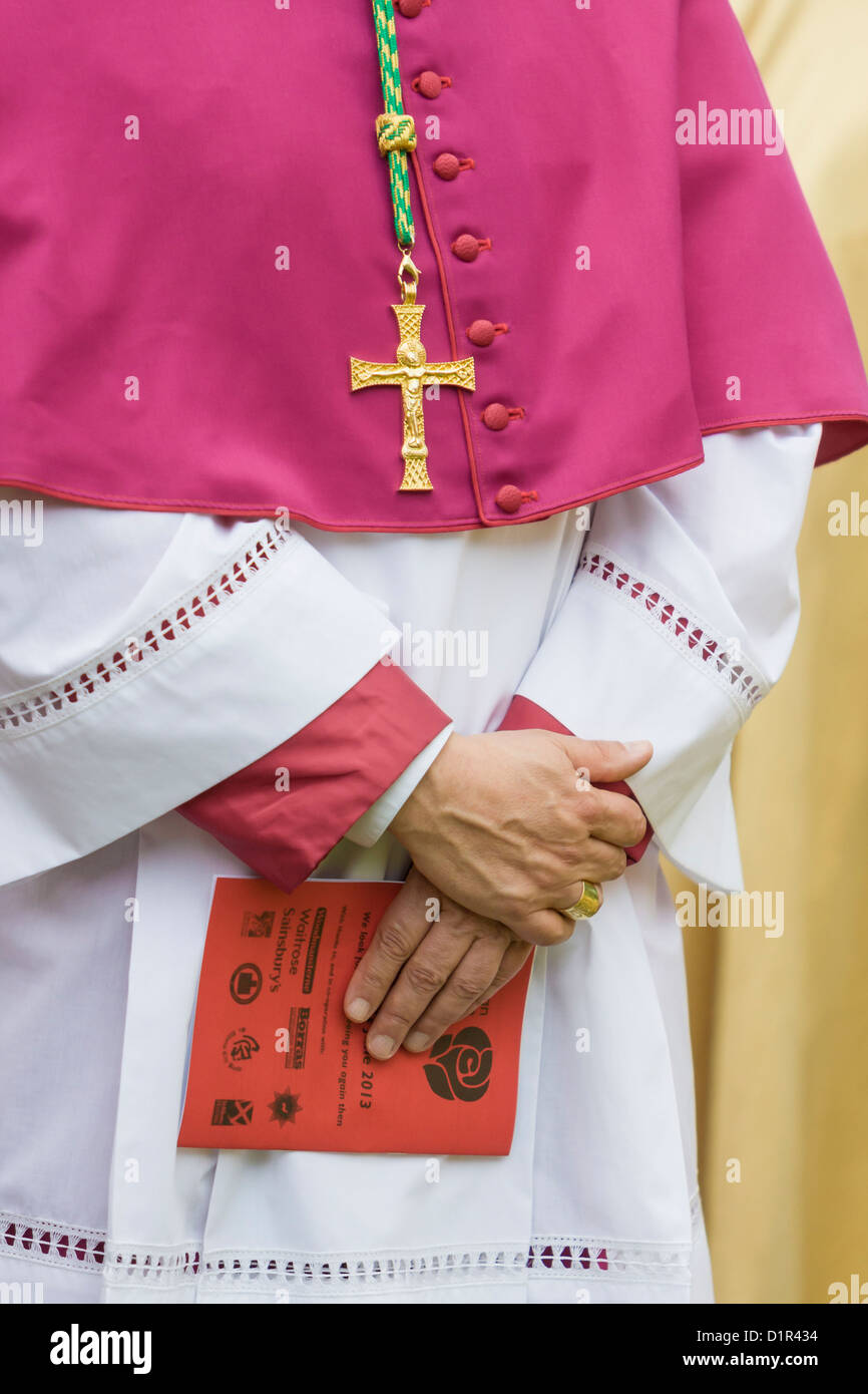 A Roman Catholic bishop with purple mozetta shoulder cape and pectoral ...