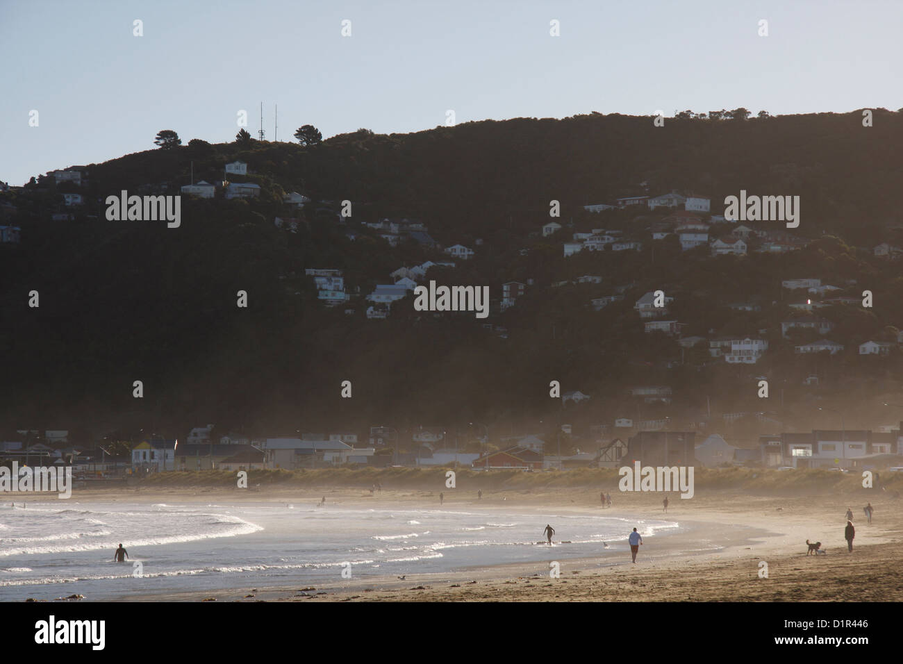 Lyall bay new zealand hi-res stock photography and images - Alamy