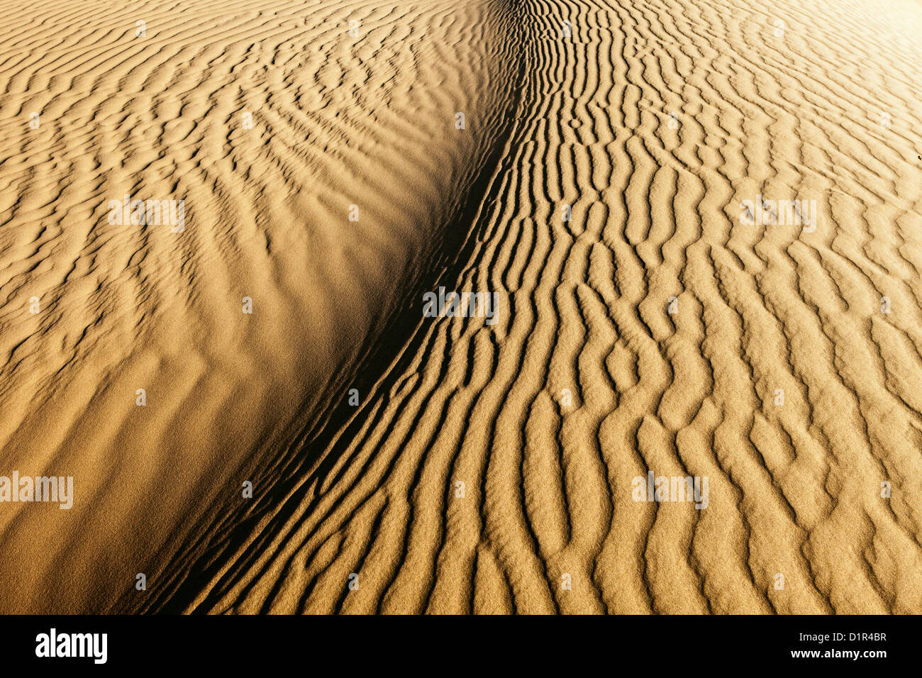 Morocco, M'Hamid, Erg Chigaga sand dunes. Sahara desert. Detail ripple ...