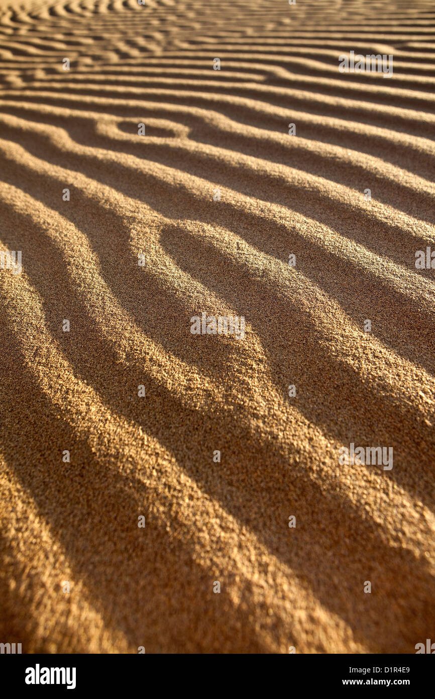 Morocco, M'Hamid, Erg Chigaga sand dunes. Sahara desert. Detail ripple ...