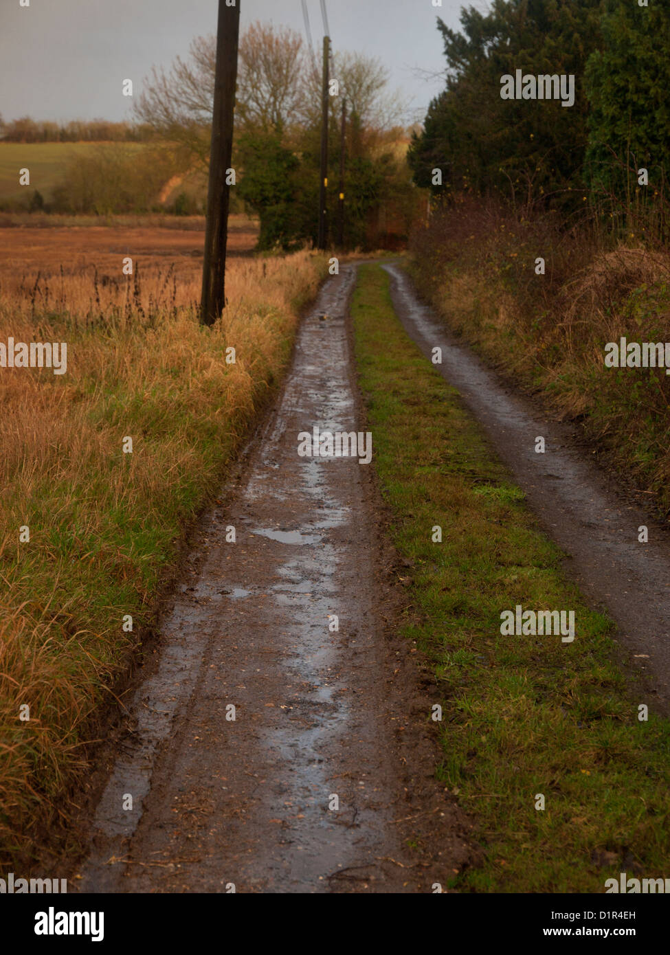 A wet track in the Suffolk countryside Stock Photo - Alamy