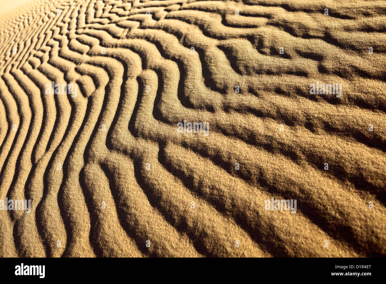 Morocco, M'Hamid, Erg Chigaga sand dunes. Sahara desert. Detail ripple ...