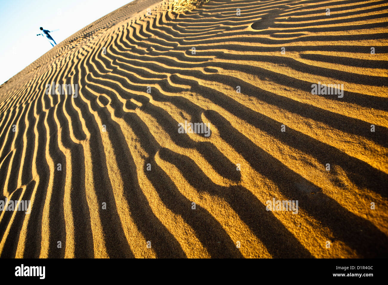 Morocco, M'Hamid, Erg Chigaga sand dunes. Sahara desert. Detail ripple ...