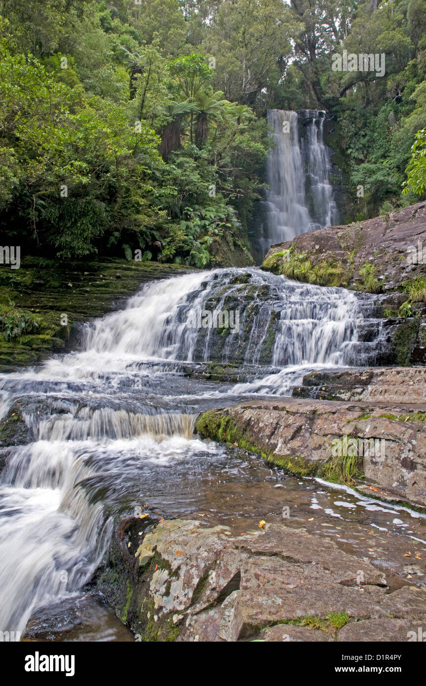 McLean Falls in the Catlins, South Island, New Zealand Stock Photo - Alamy