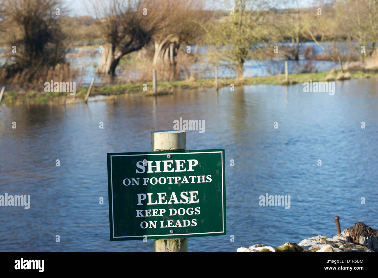 Sheep river flooding hi-res stock photography and images - Alamy